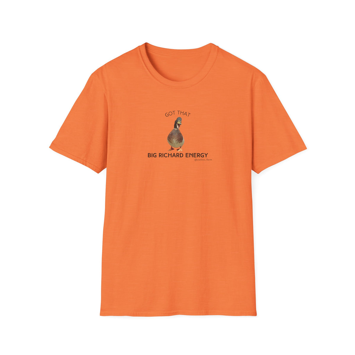 Big Richard Energy Tee – Useless Farm