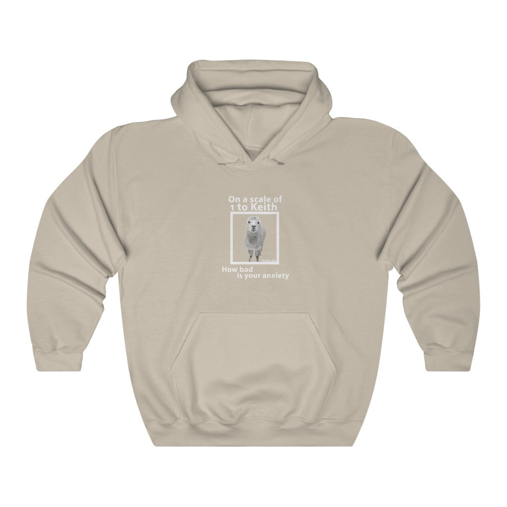 Keith's Anxiety Hoodie – Useless Farm