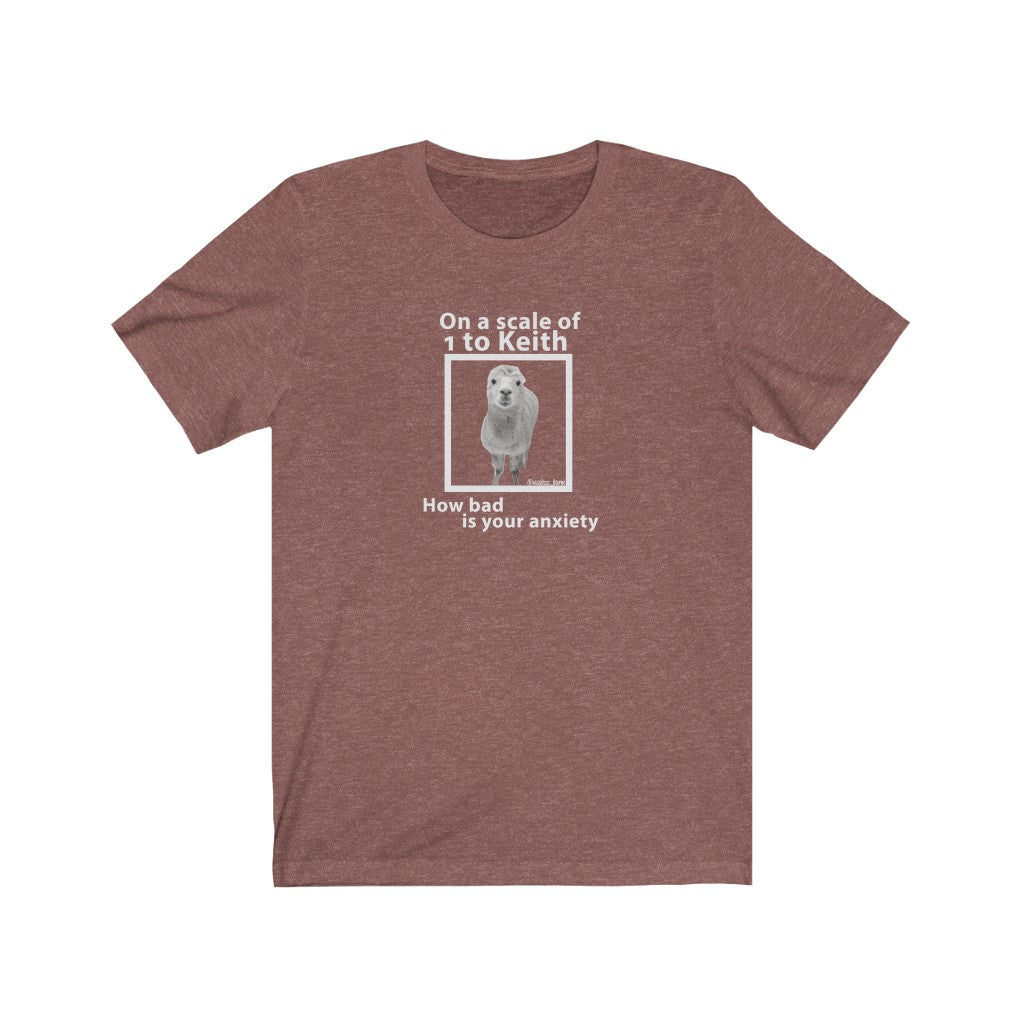Keith's Anxiety Short Sleeve Tee – Useless Farm